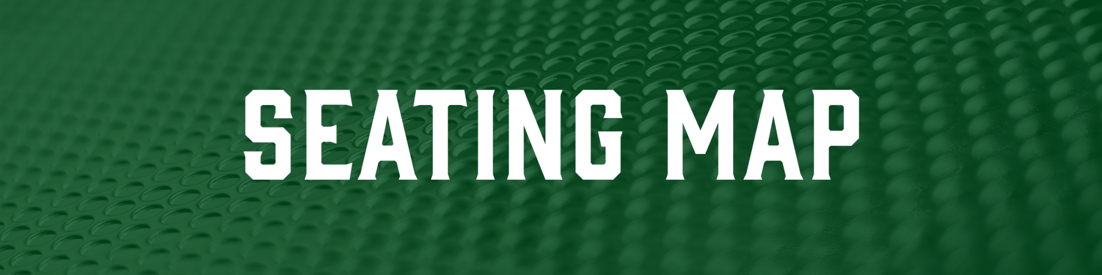 Stadium Seating Chart | Dragons