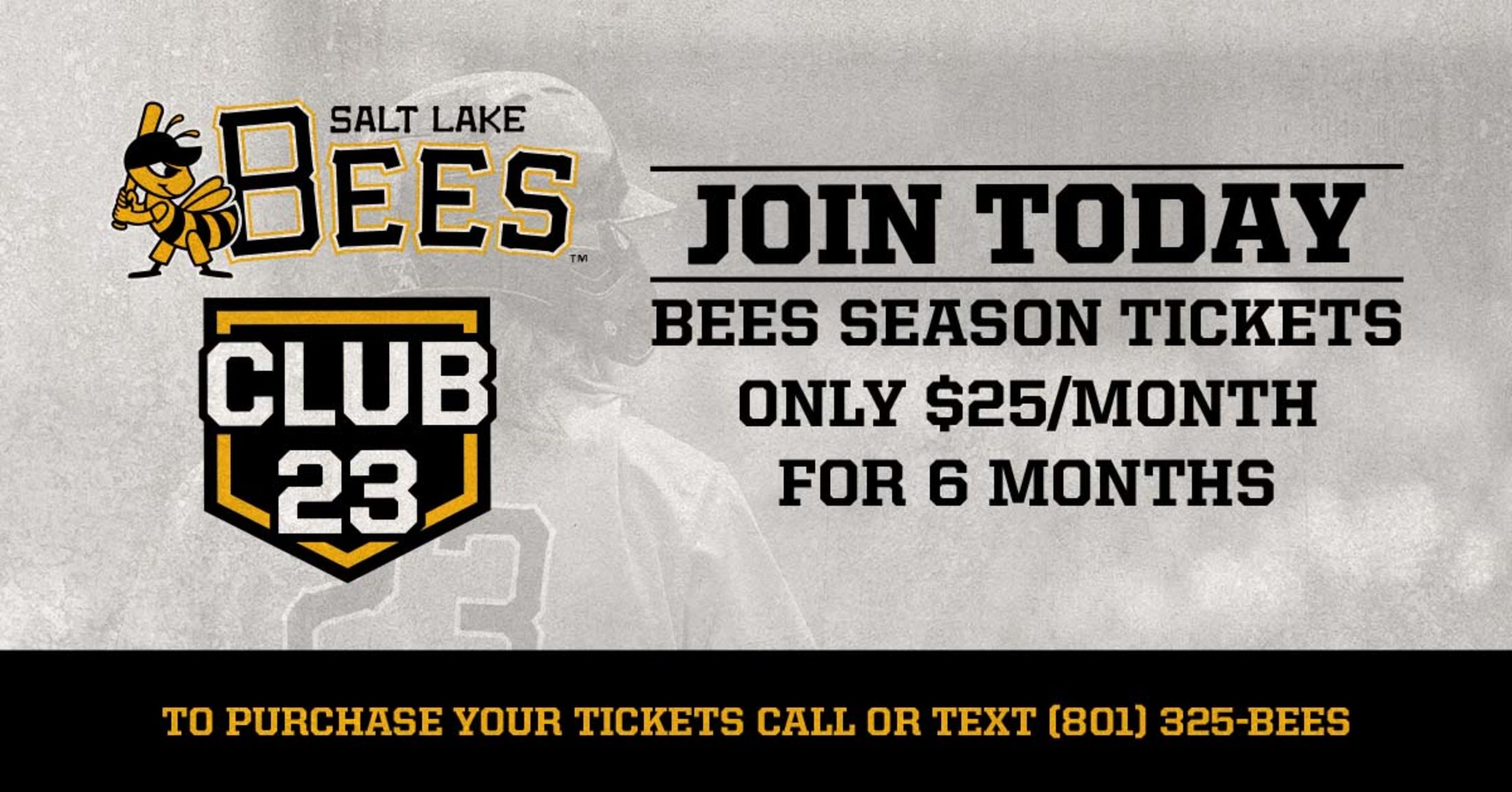 Salt Lake Bees Ticket Packages | Bees