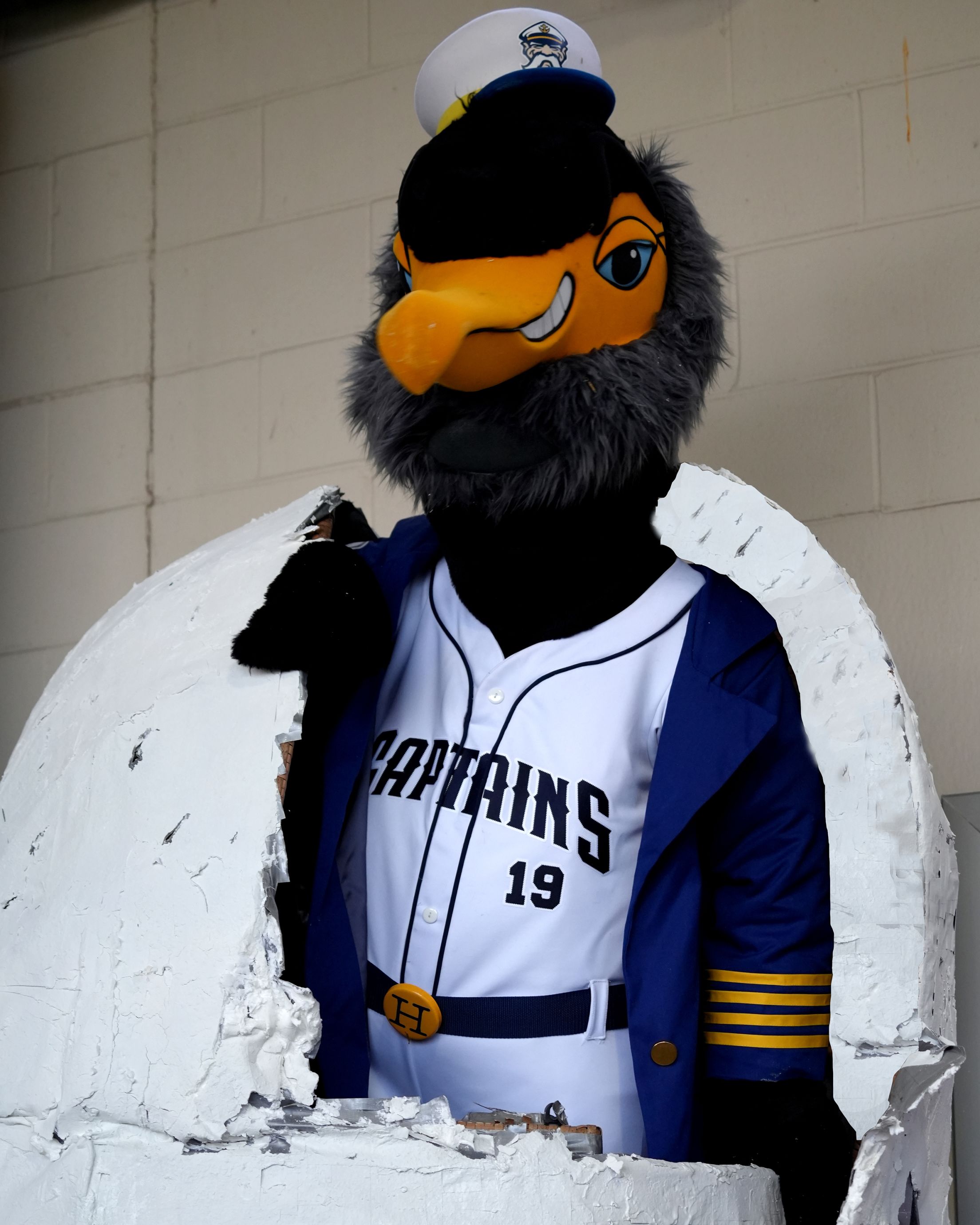 Meet the Mascot | Captains