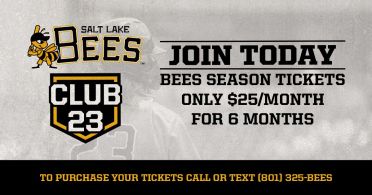 Salt Lake Bees Ticket Packages | Bees