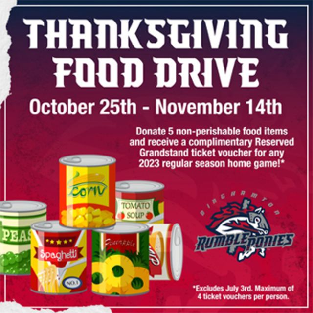 Binghamton Rumble Ponies | MiLB.com