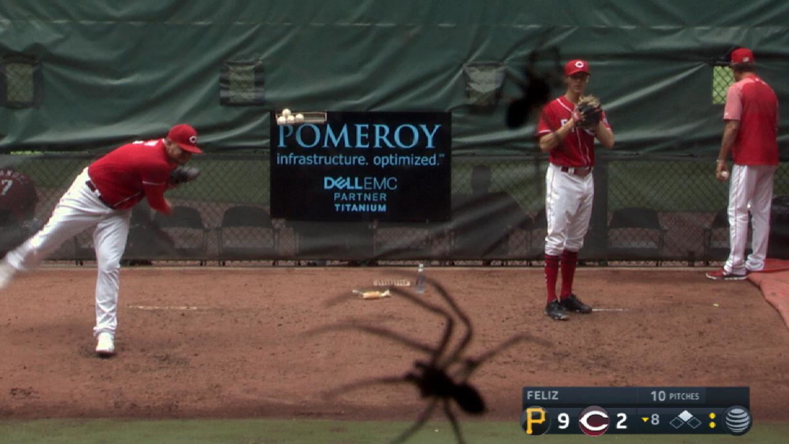baseball playing spider