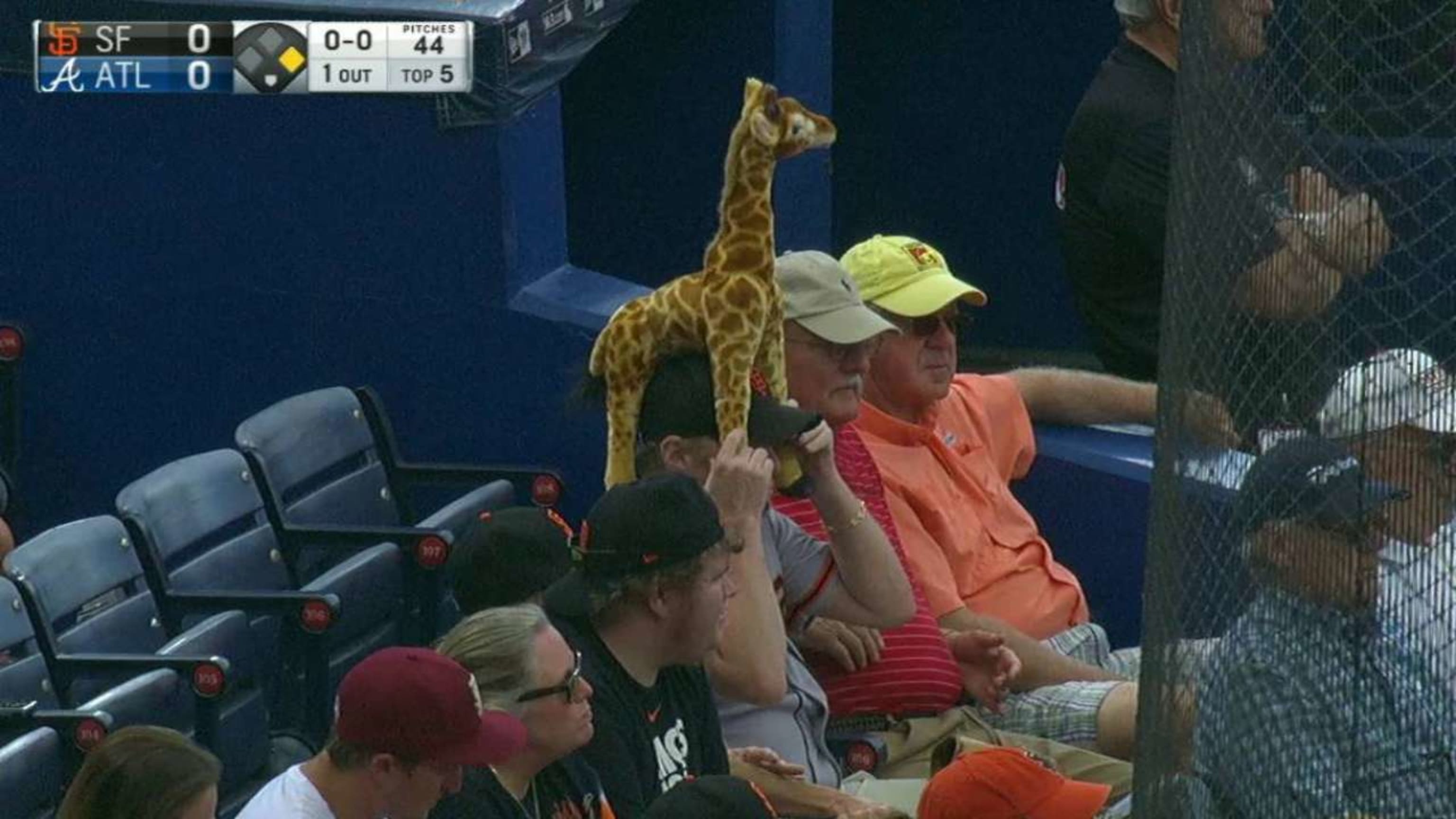 dwarf giraffe baseball