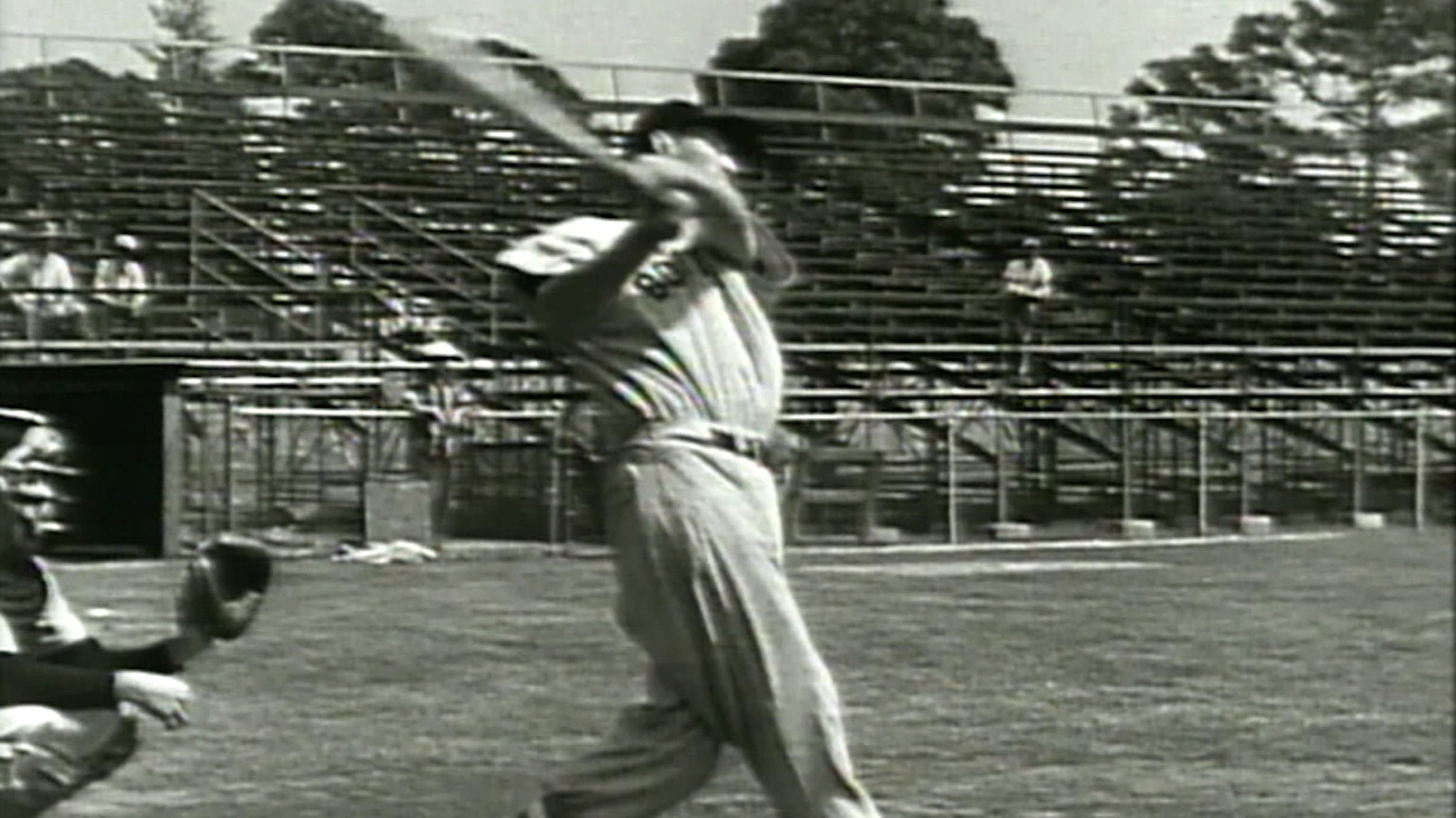baseball player ted williams