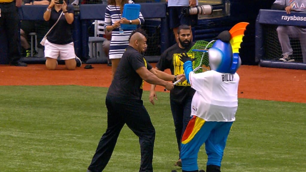 rays mascot race