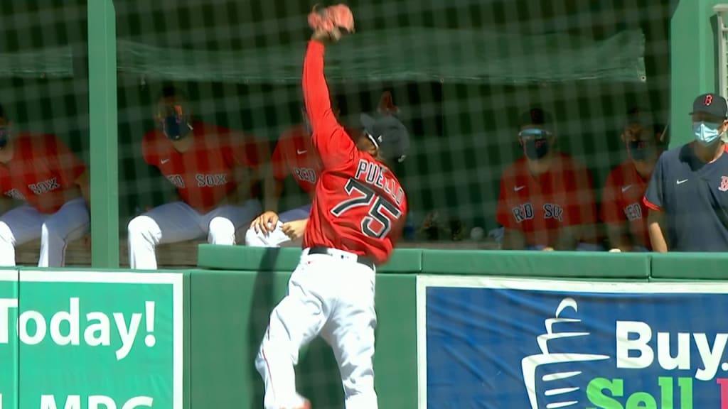 cesar puello baseball reference