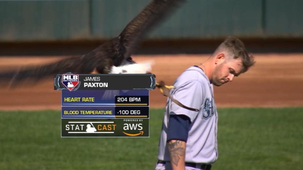 james paxton eagle