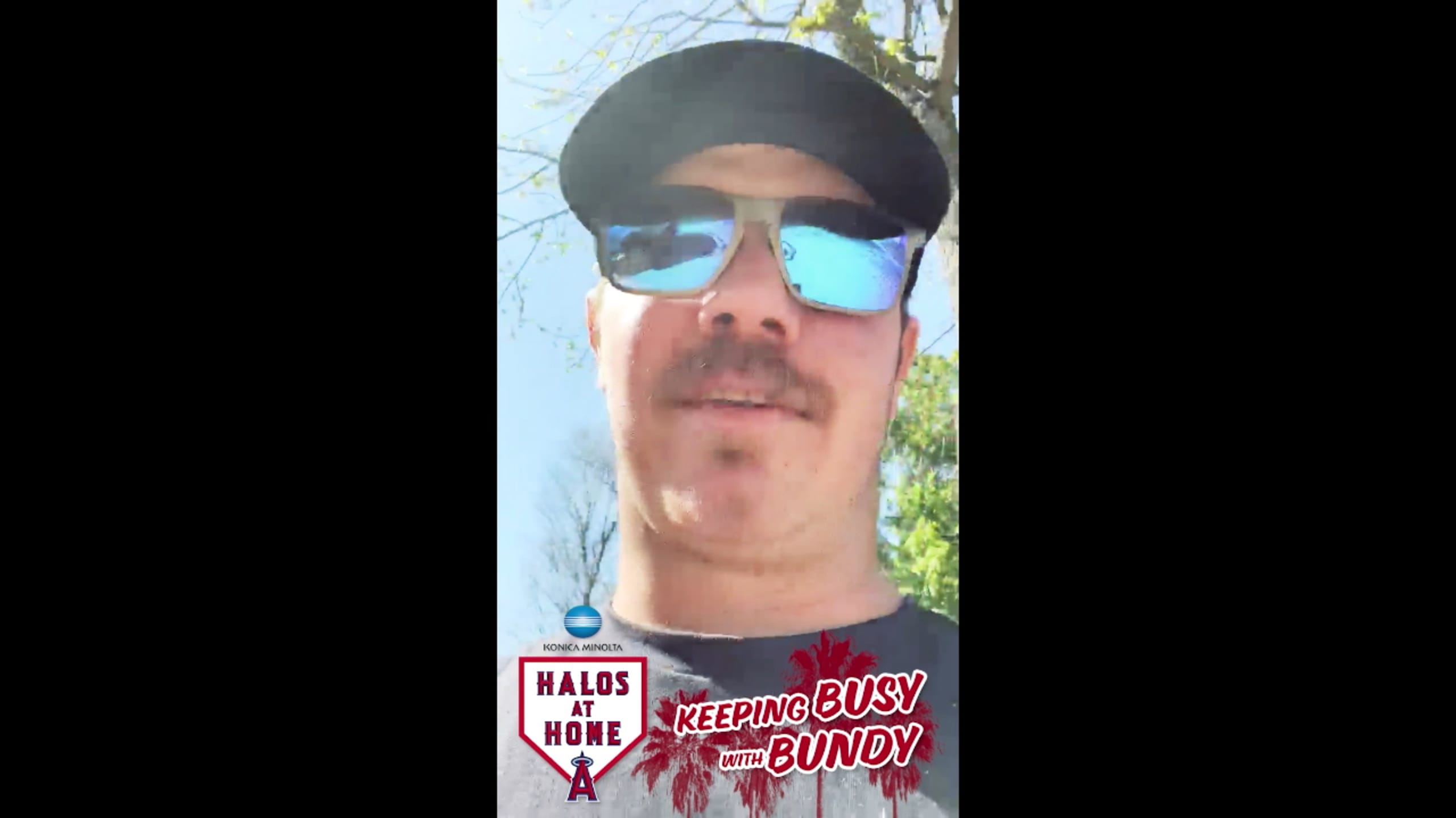 Keeping busy with Bundy