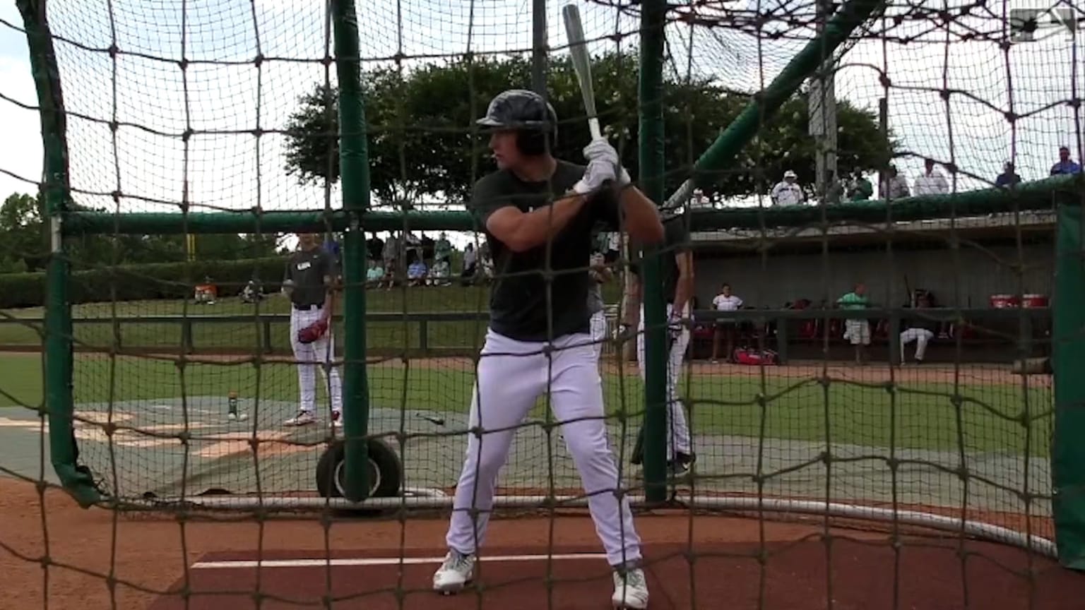 Top Prospects: Patrick Bailey, C, Giants | 02/28/2021 | San Francisco ...