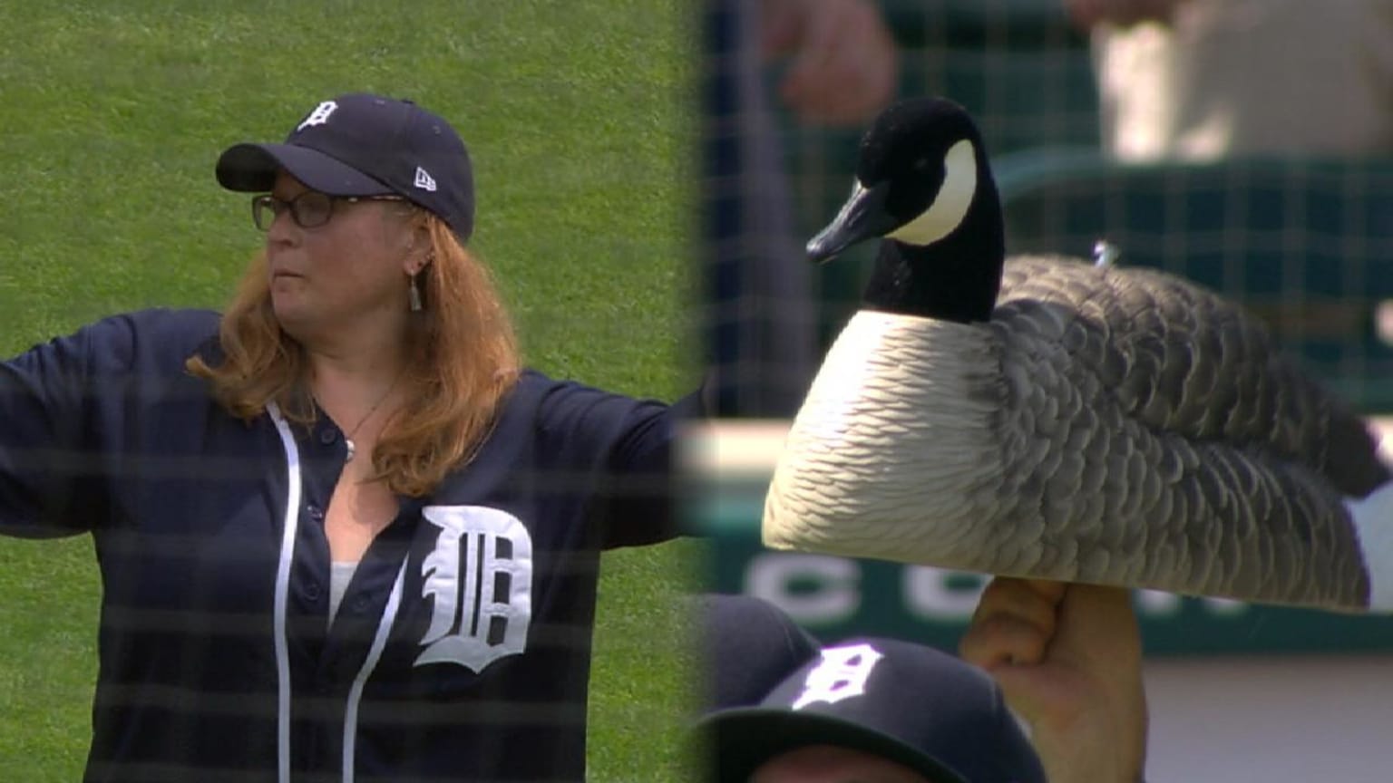 LAA@DET: Roach hurls 1st pitch, discusses Rally Goose | 05/31/2018 ...