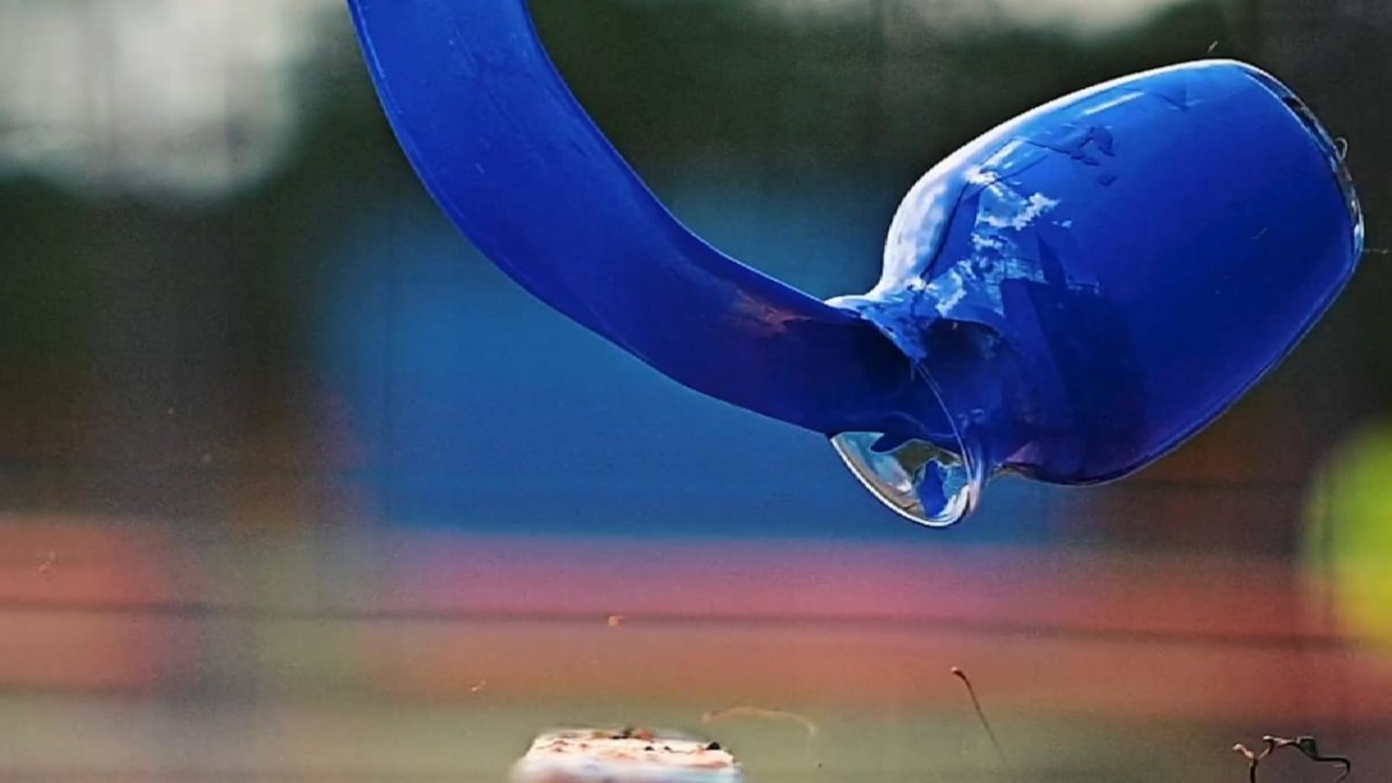 Mets Smash Glass, Splatter Paint | 03/02/2019 | MLB.com