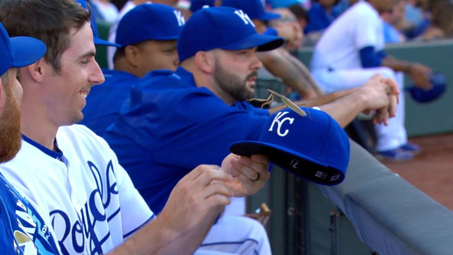 TOR@KC: Burns gets friendly with praying mantis | 08/06/2016 ...