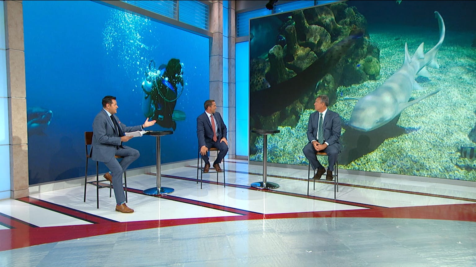 MLB Central compares MLB players to sharks | 08/10/2020 | MLB.com