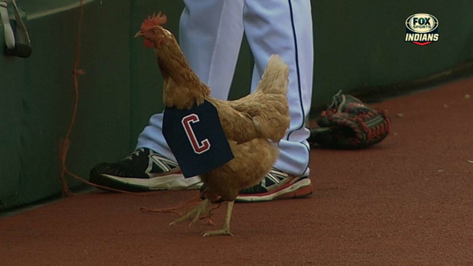 BAL@CLE: Indians bring chicken to batting practice | 09/04/2013 | MLB.com