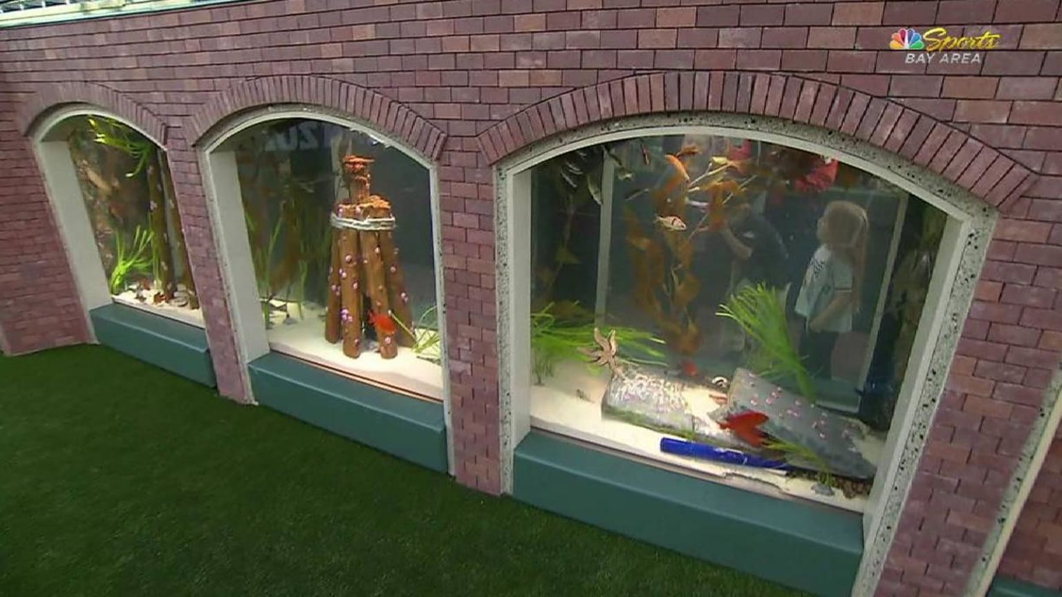 MIA@SF: Giants debut new fish tank at AT&T Park | 07/07/2017 | San ...