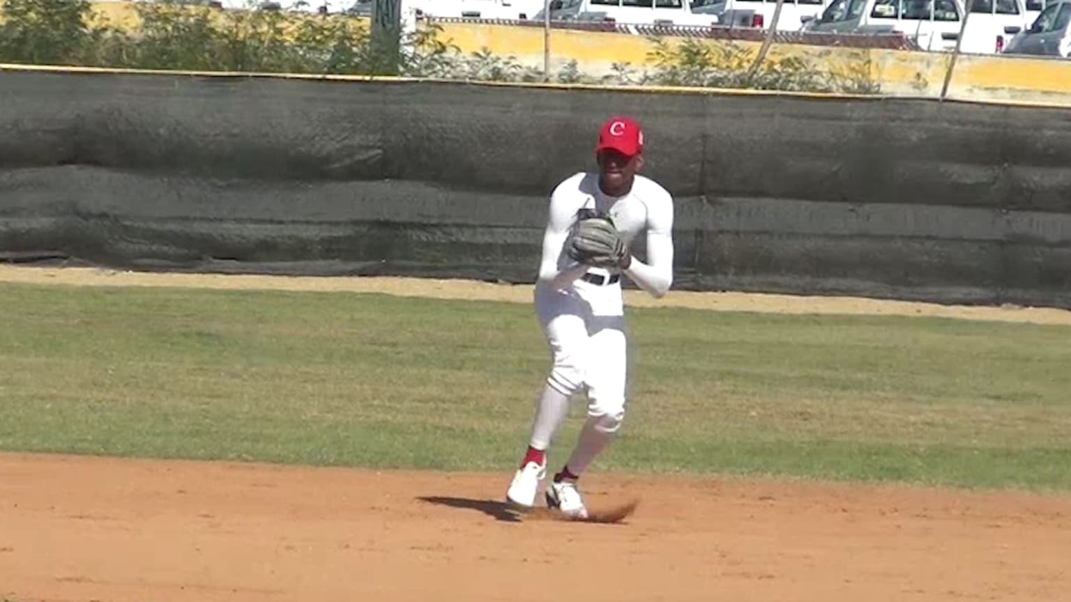 Top International Prospects: Dyan Jorge, SS | 04/28/2020 | Philadelphia ...