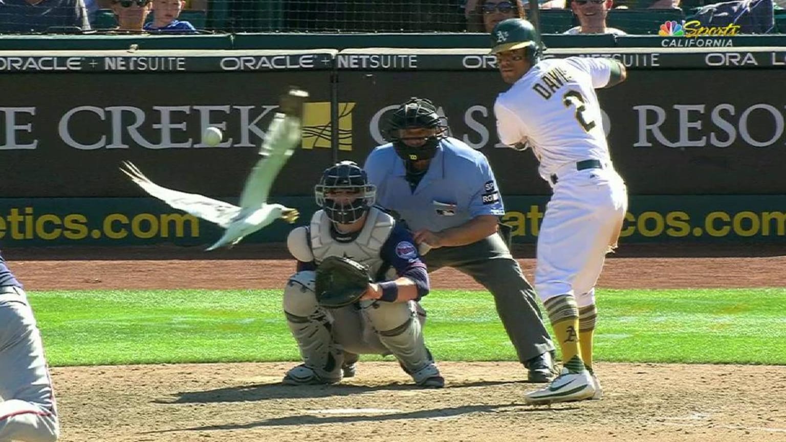 MIN@OAK: Seagull flies in front of a Duffey pitch | 07/30/2017 | MLB.com