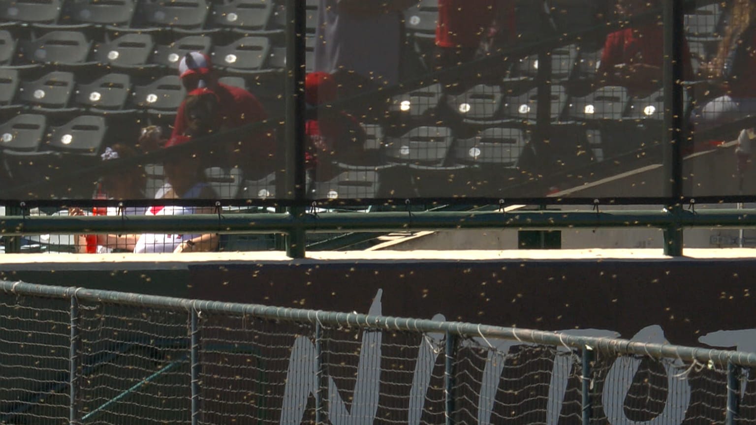 TEX@LAA: Bees cause minor delay in the 5th | 04/07/2019 | Philadelphia ...