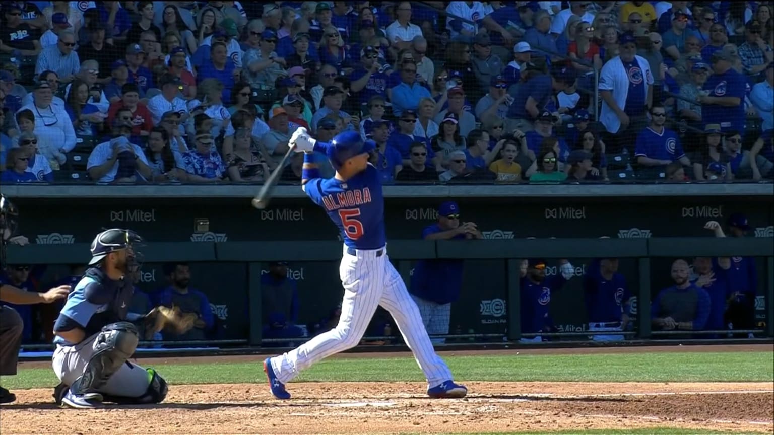 Albert Almora Jr.'s solo home run | 03/01/2020 | Boston Red Sox