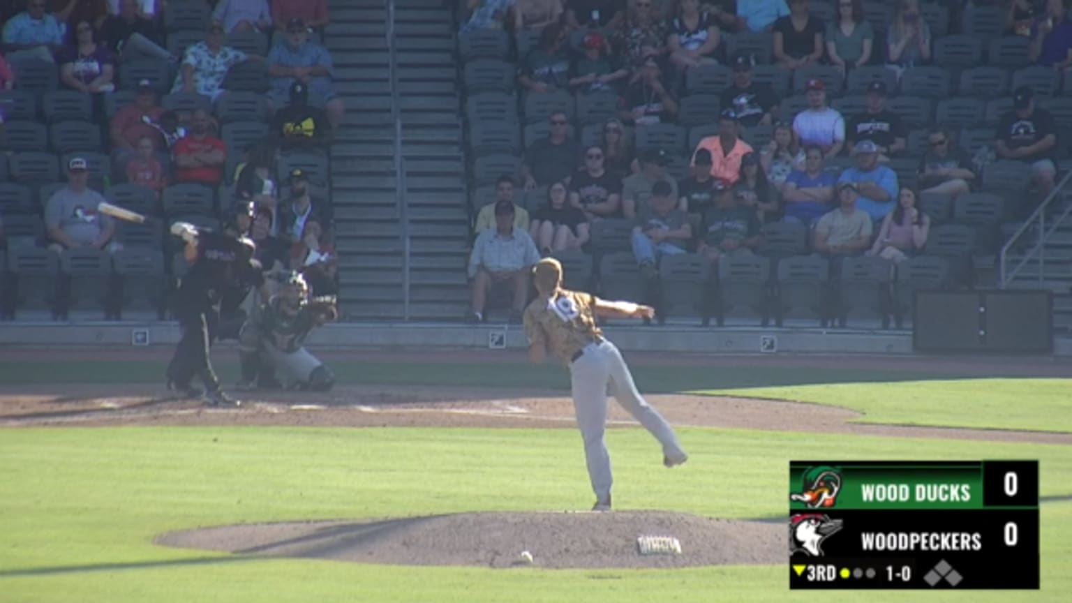 Jacob Melton drills first home run for Woodpeckers | 08/14/2022 ...
