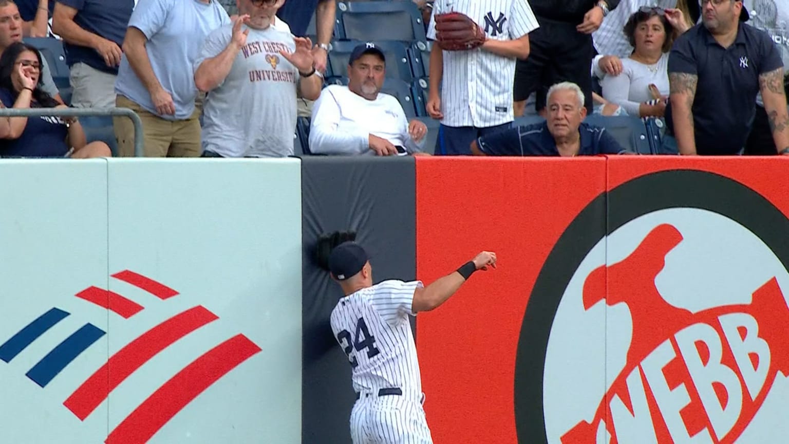 Matt Carpenter's leaping catch | 07/14/2022 | New York Yankees