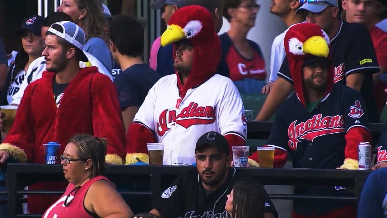 MLB Network: DQ Fanstands | 09/24/2018 | MLB.com