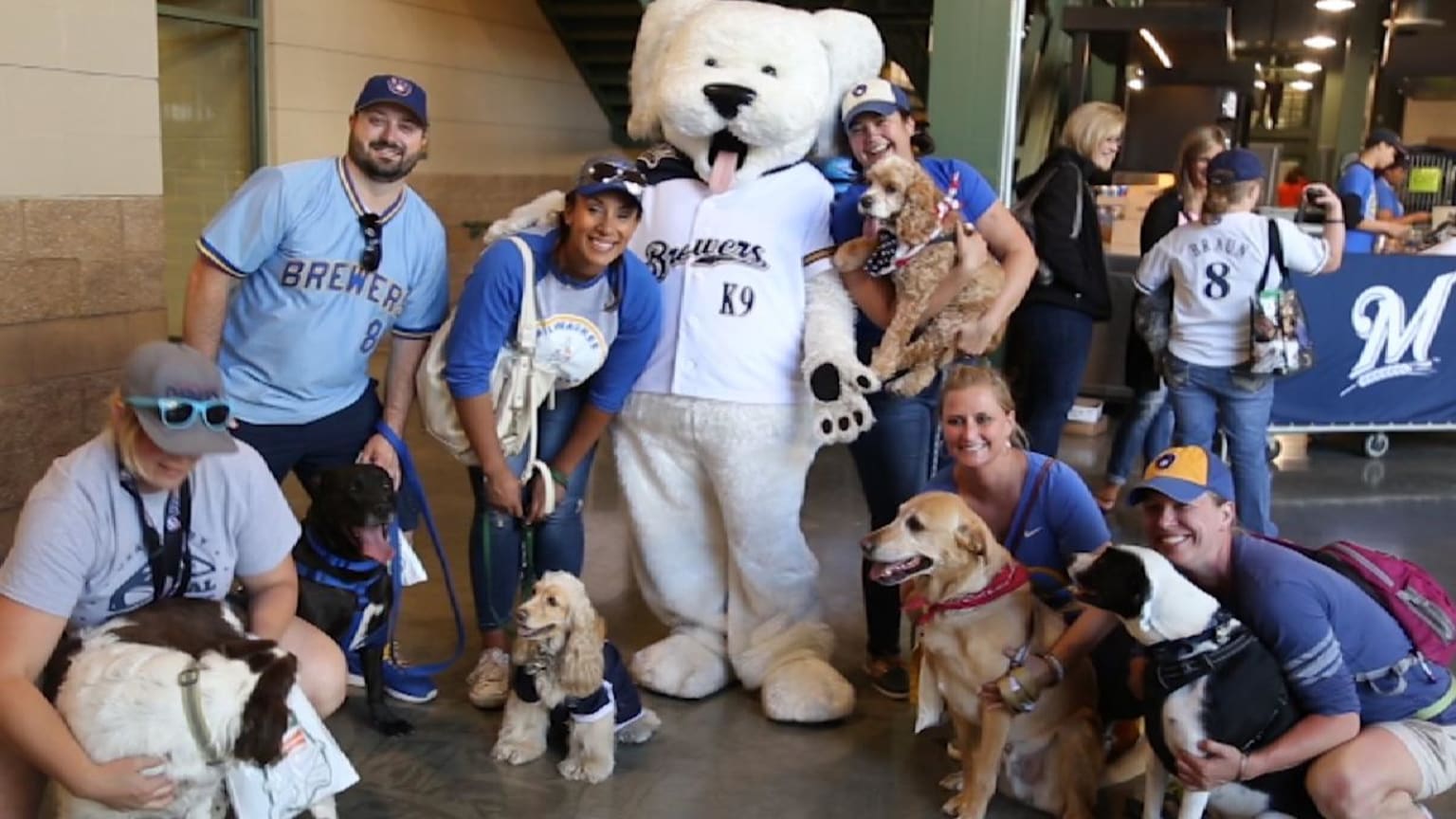 Brewers host first Bark at the Park | 06/07/2017 | MLB.com