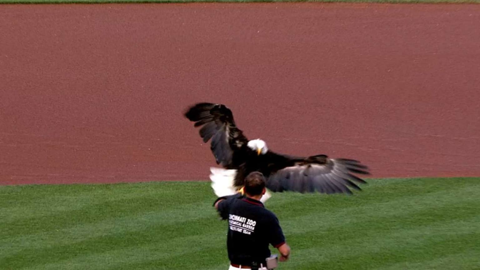 National Anthem and Sam Flight | 06/07/2017 | MLB.com