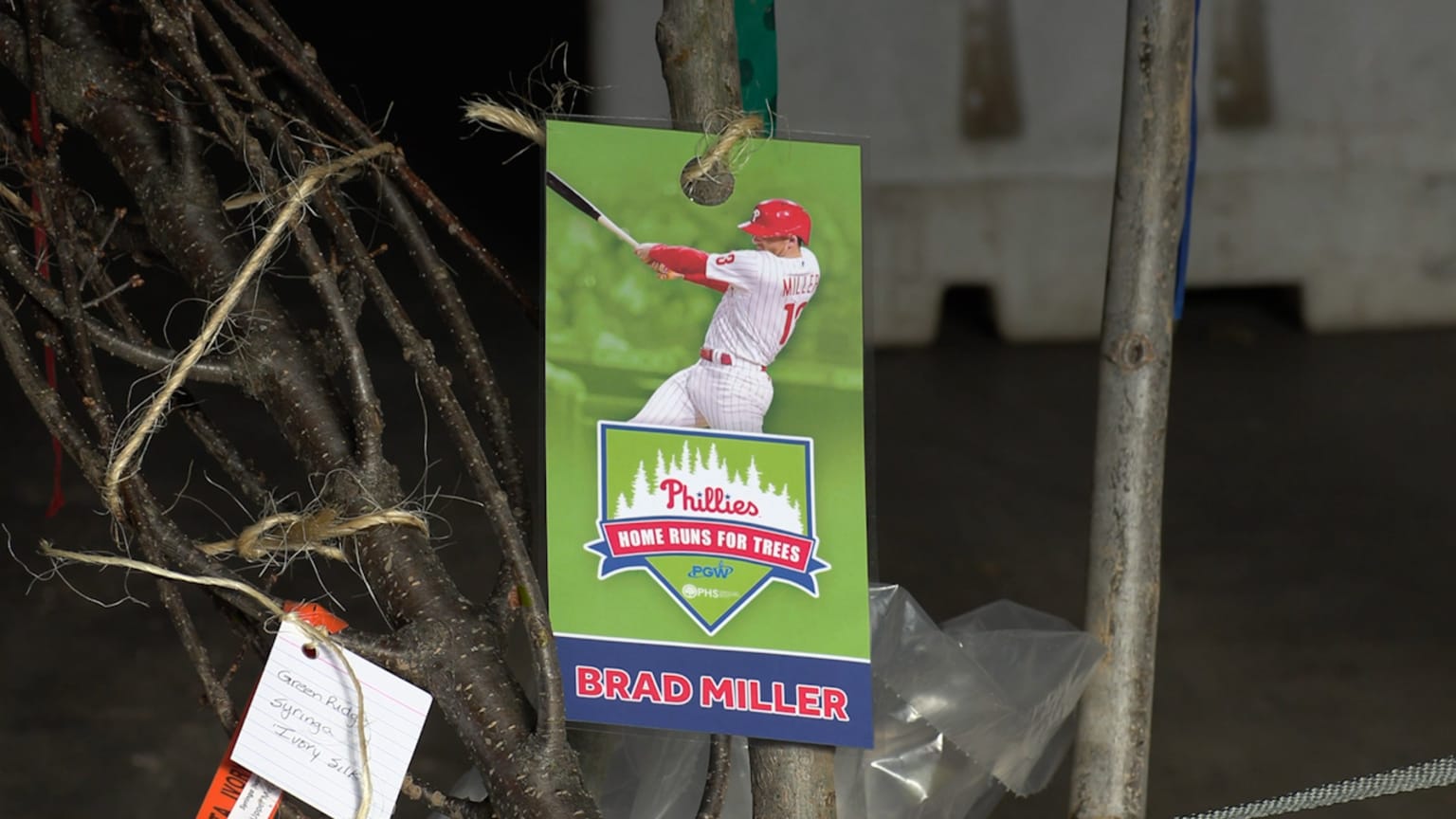 Phanatic makes Phillies Home Runs for Trees delivery | 11/17/2021 ...