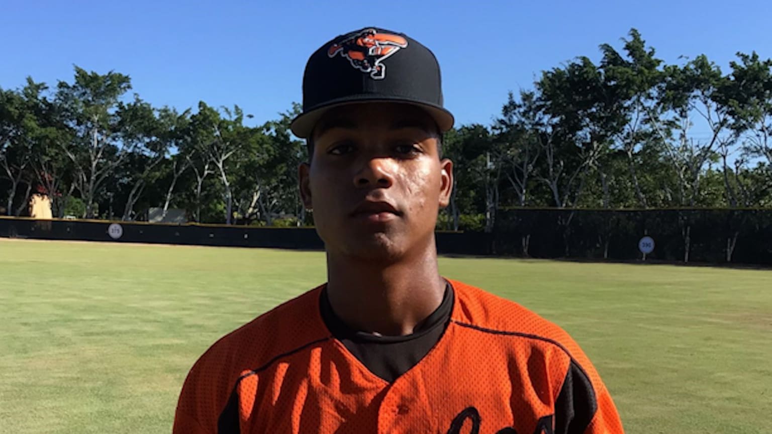 Top International Prospects: Braylin Tavera, OF | 01/12/2022 | Detroit ...