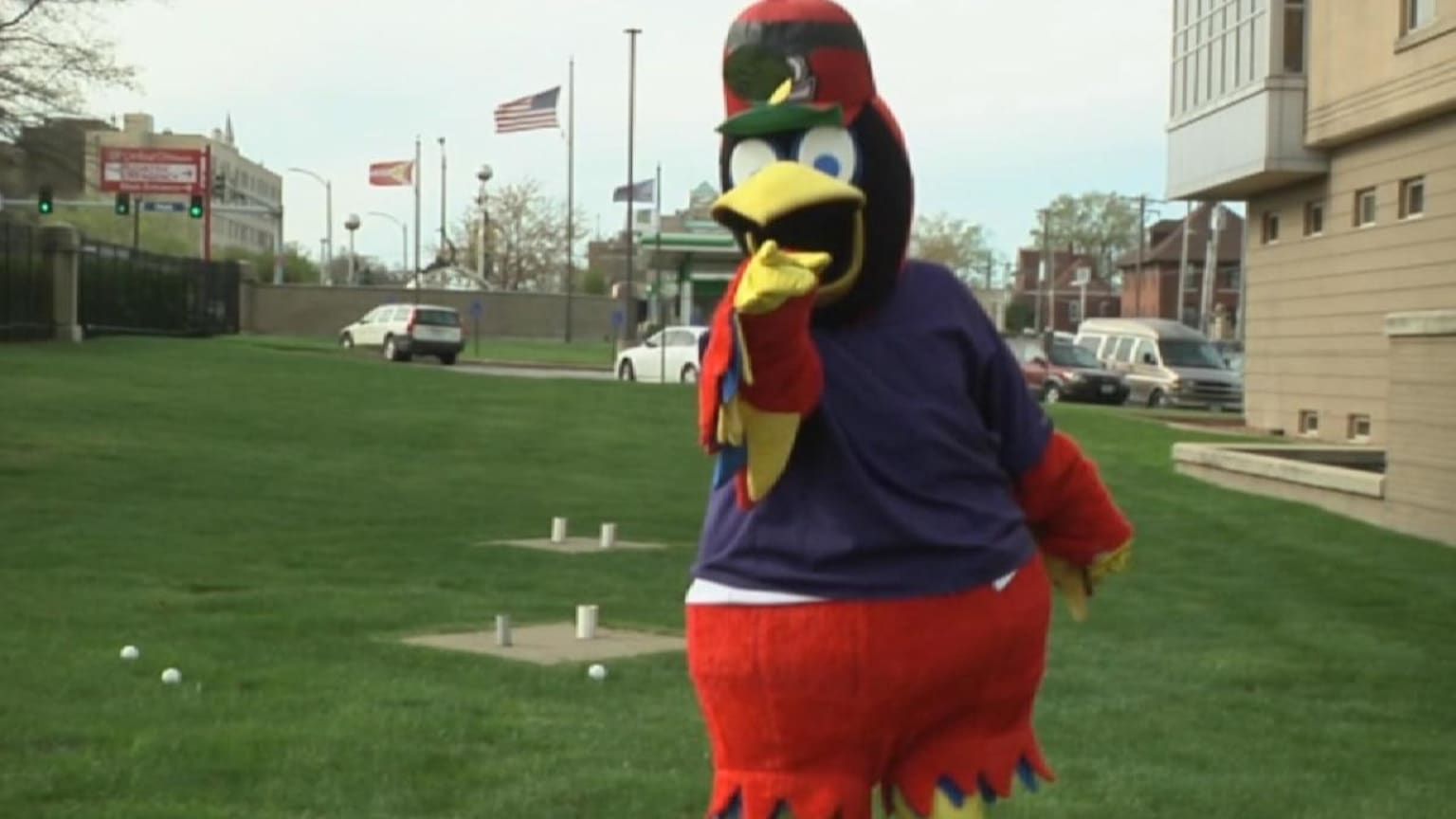 Cardinals Kids Show: Episode 5 | 05/22/2017 | St. Louis Cardinals