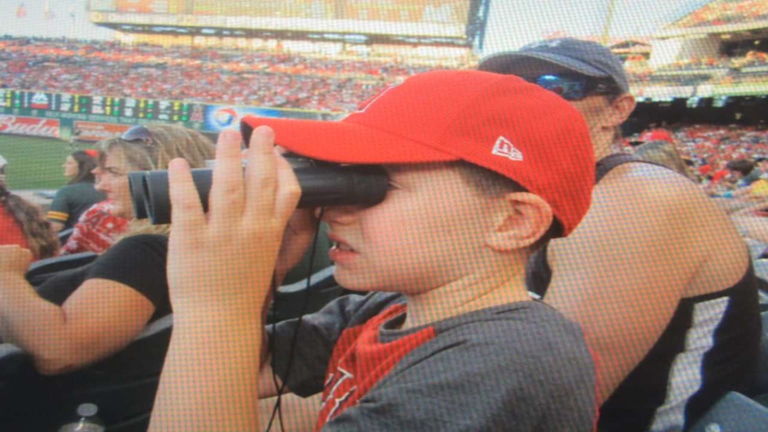 Angels Fan of the Year Candidate: Marty Boylan | 08/11/2017 | Los ...