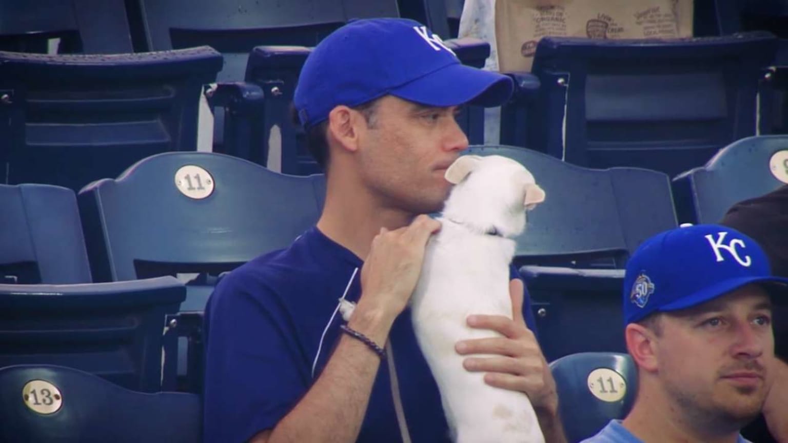 MLB Network: DQ Fanstands | 08/20/2018 | MLB.com