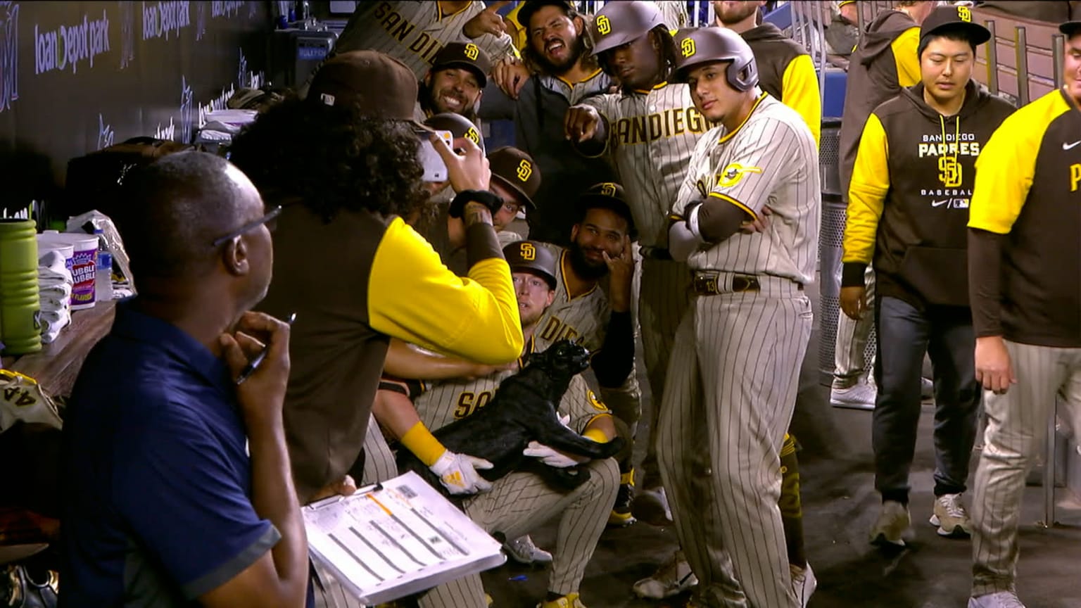 Padres debut their new black panther in their dugout | 08/17/2022 | San ...
