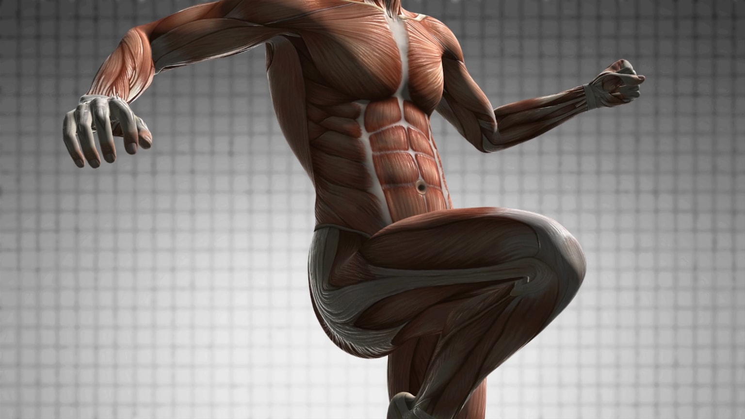 Science of Baseball: Muscles and Ligaments | 05/07/2021 | Arizona ...