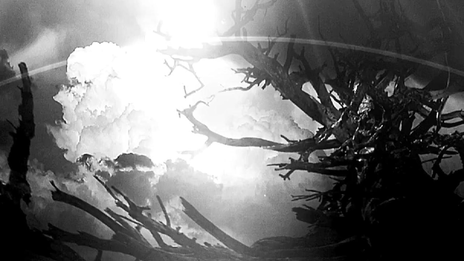 Legendary filmmaker Merhige on the art of directing | 06/09/2016 | MLB.com