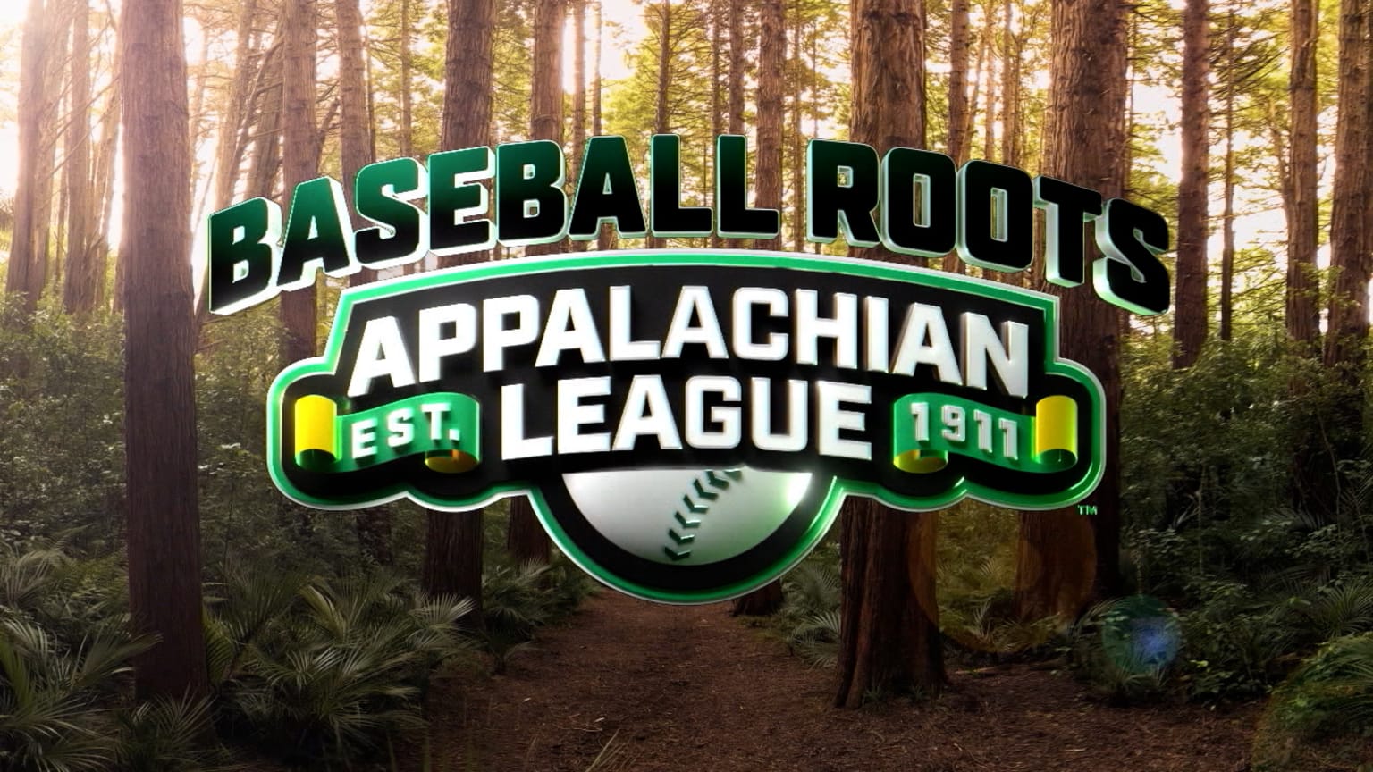 Dale Ford on some memorable baseball moments | 05/17/2022 | MLB.com