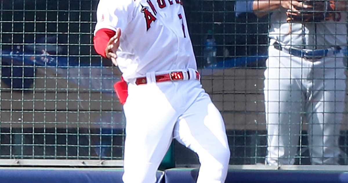 MLB Stories - 2022 home run robberies