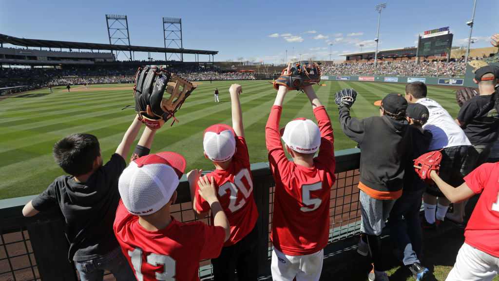 Baseball Themed Activities