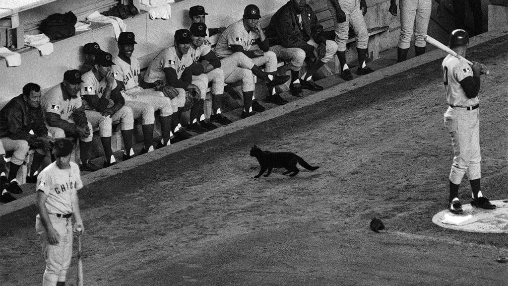 Book review of The Last Chicago Cubs Dynasty