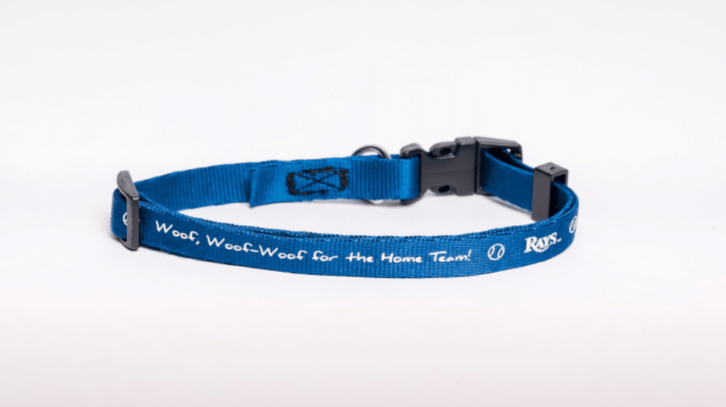 Dog Day at the Rays | Tampa Bay Rays