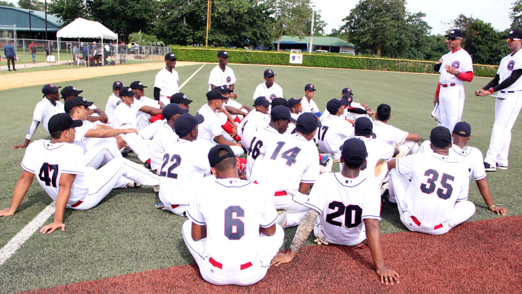 MLB Trainer Partnership Program | MLB.com