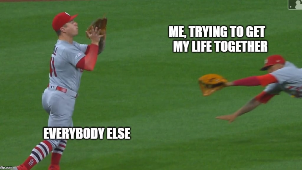 Softball Guy Memes Cardinals Outfielder's Unnecessary Dive On Fly Ball