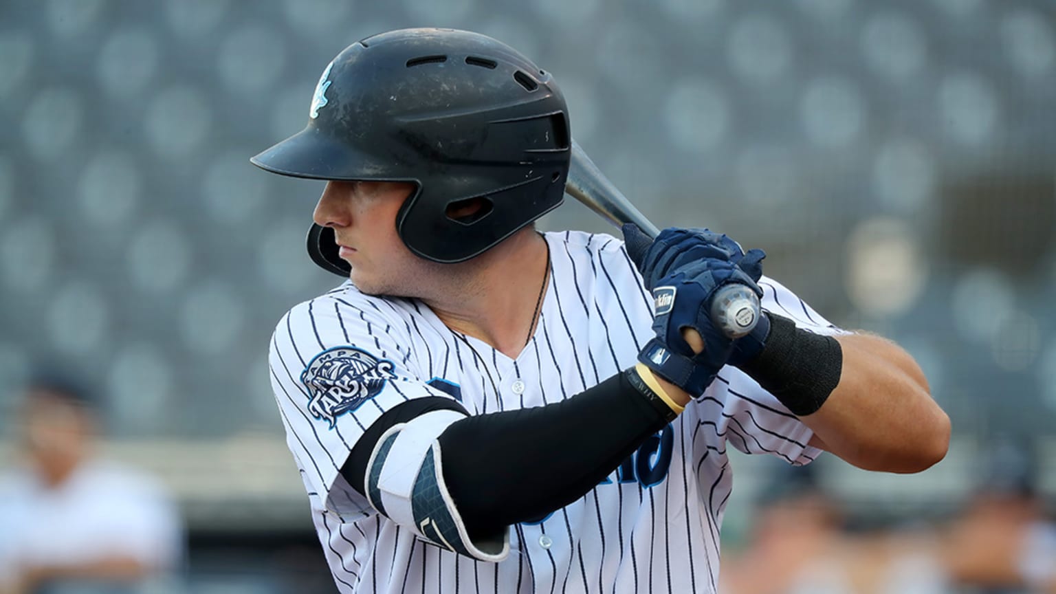 Yankees' Trevor Hauver blasts sixth home run