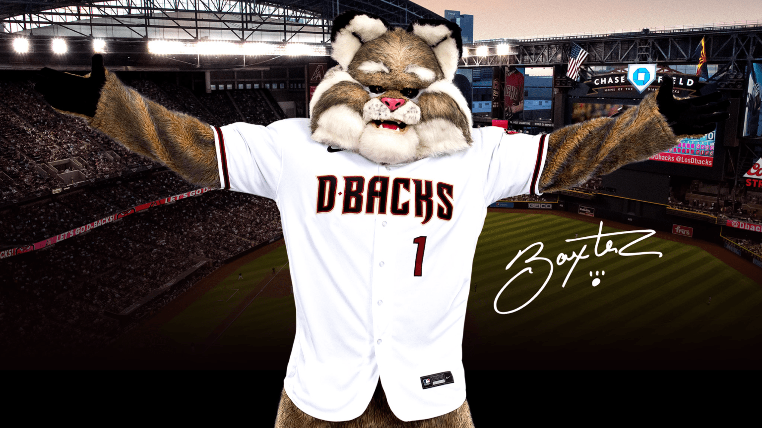 Screen savers & Wallpaper | Arizona Diamondbacks
