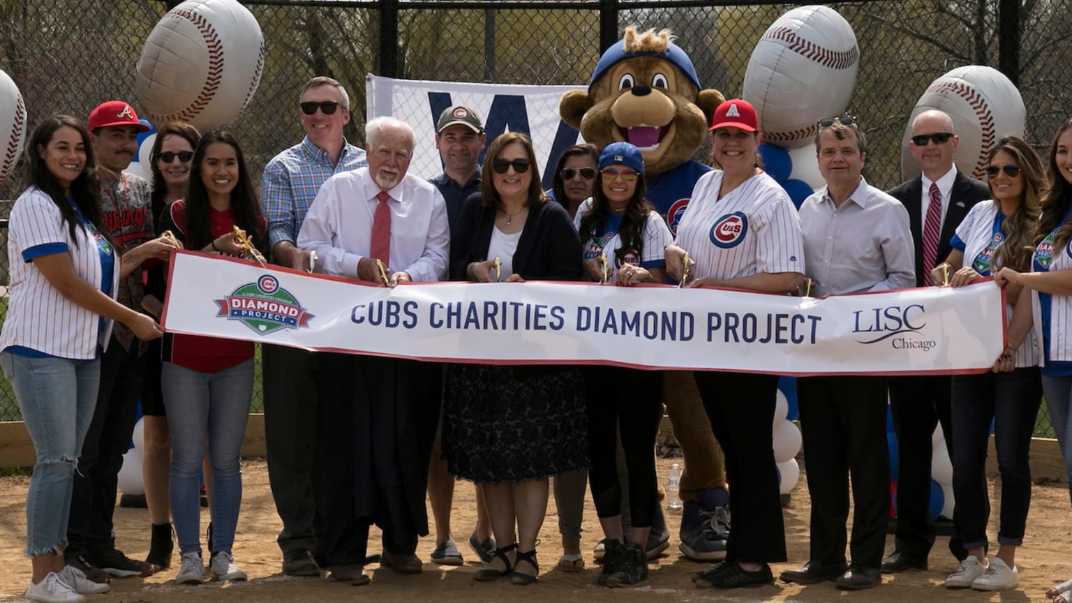 Diamond Project | Chicago Cubs