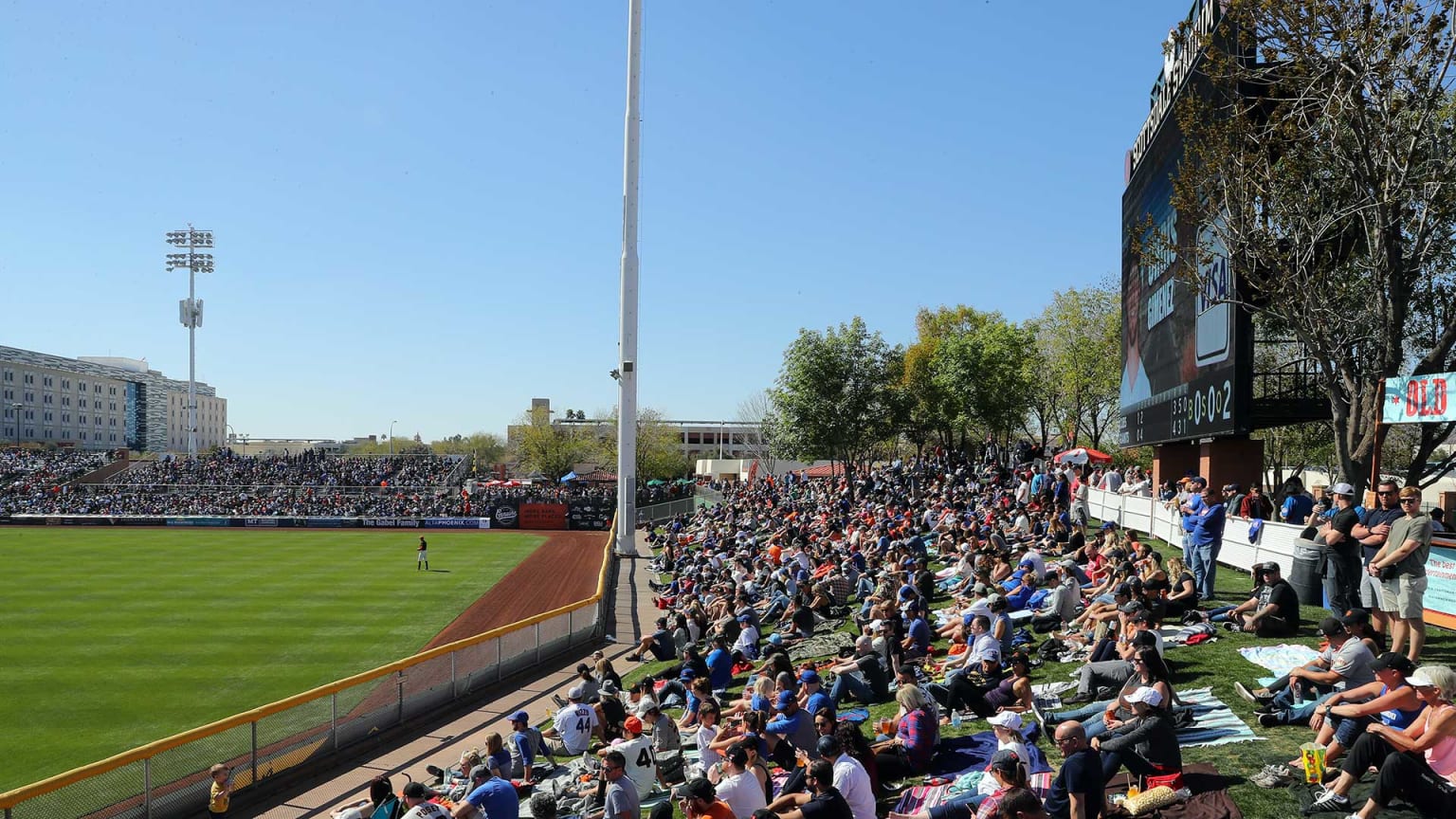 Giants Spring Training FAQ