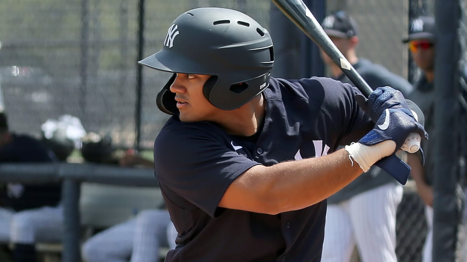 Arizona, Florida Complex Leagues primer