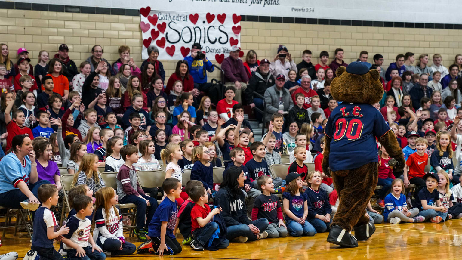 T.C. Bear | Minnesota Twins