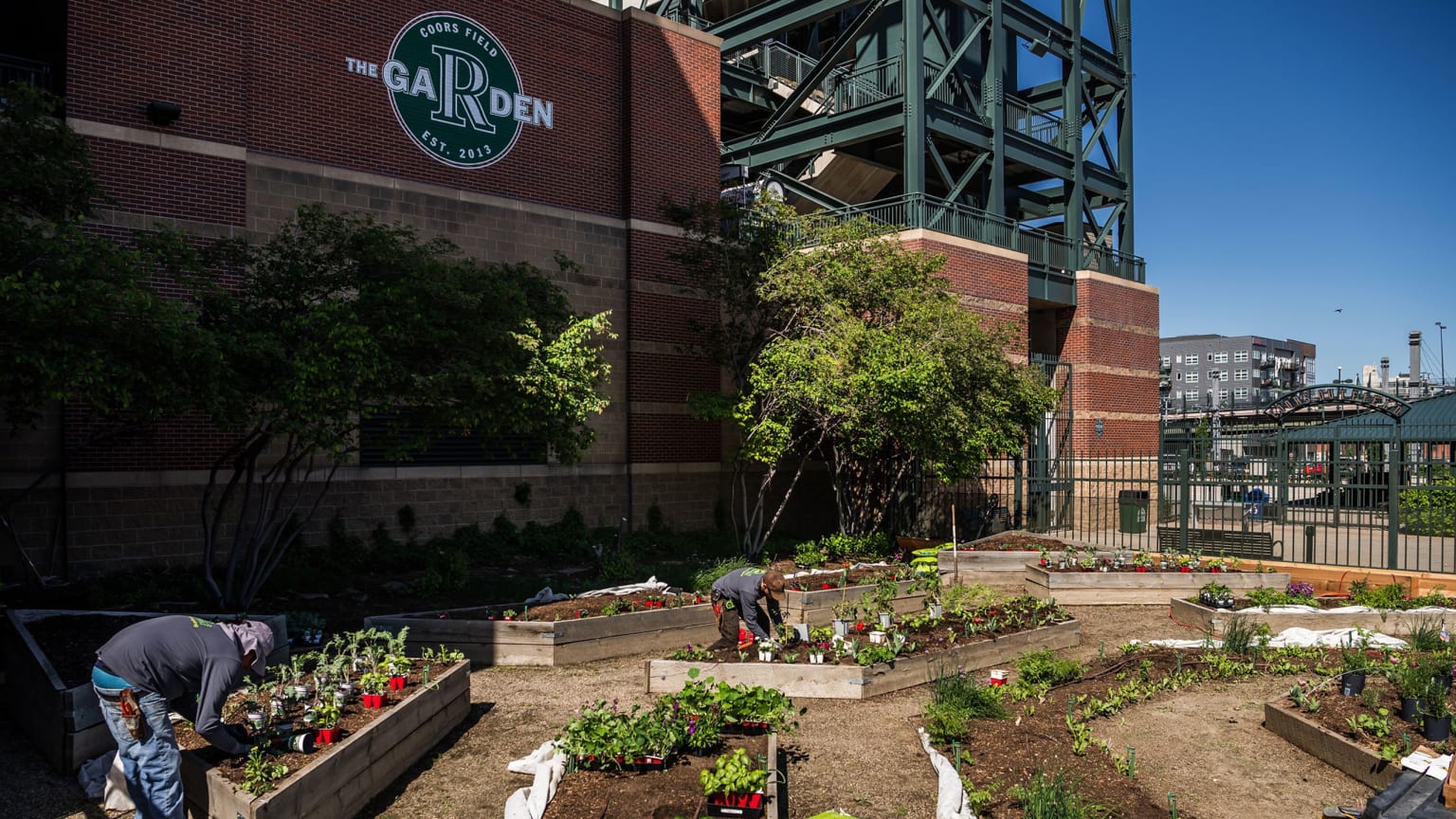 THE COORS FIELD GARDEN | Colorado Rockies